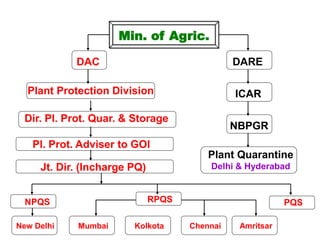 Nemas in trade by Vikas Bamel (2012) | PPT