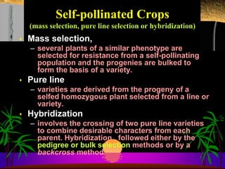 Nemas resistant var. by vikas Bamel (2012) | PPT