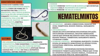 Filo Nematelmintos | PPT