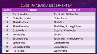 Nemathelminthes Characteristics