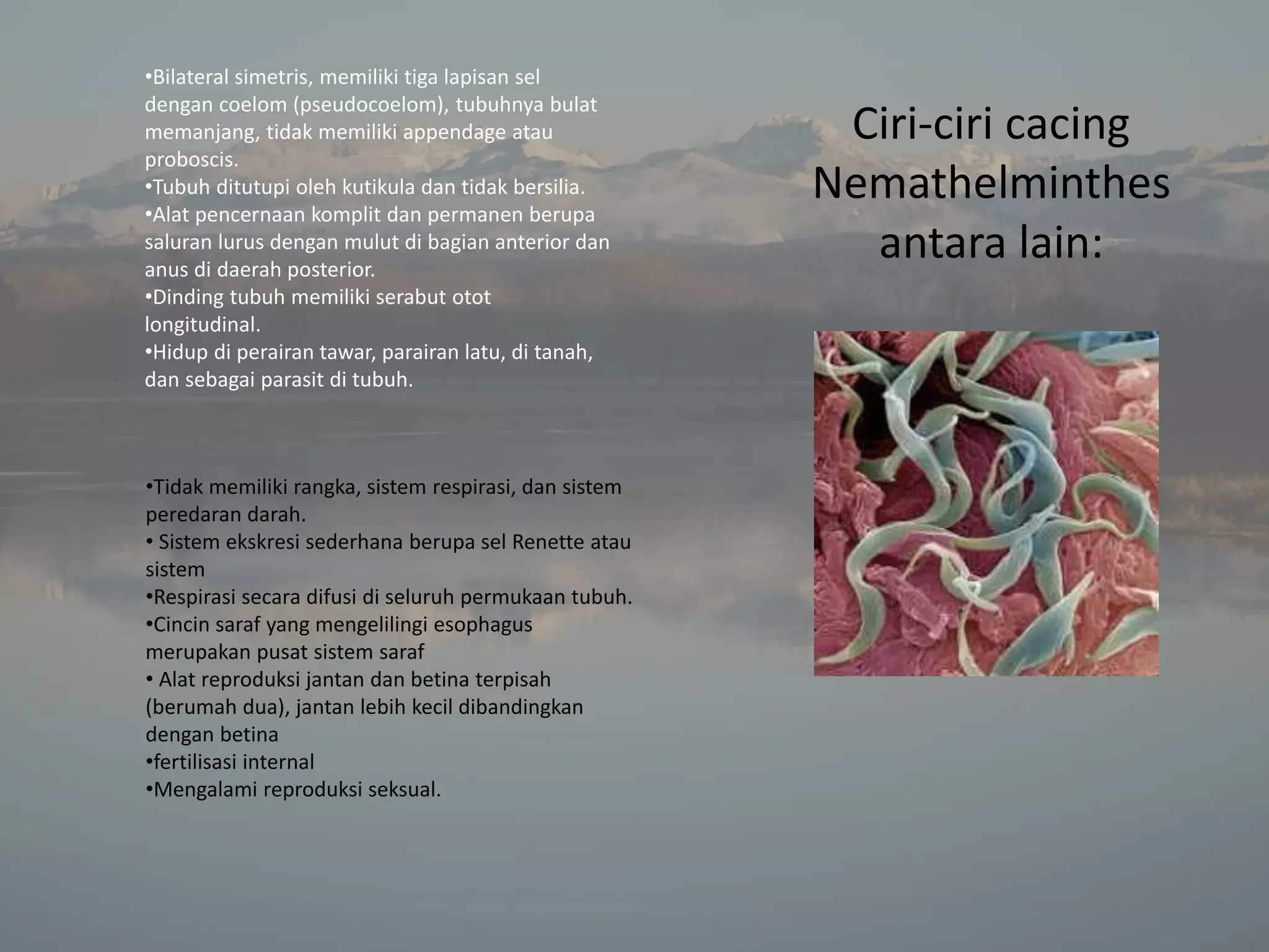 NEMATHELMINTHES Presentation | PPTX