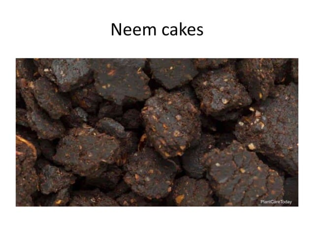 NEMATICIDES.pptx | Gardening | Home & Garden