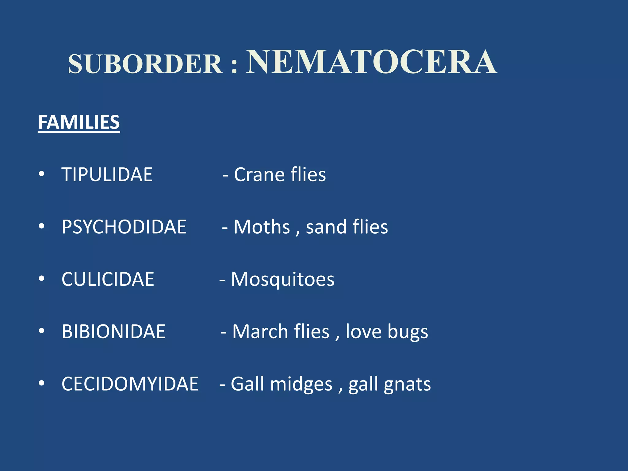 Nematocera PPTX Nematocera PPTX