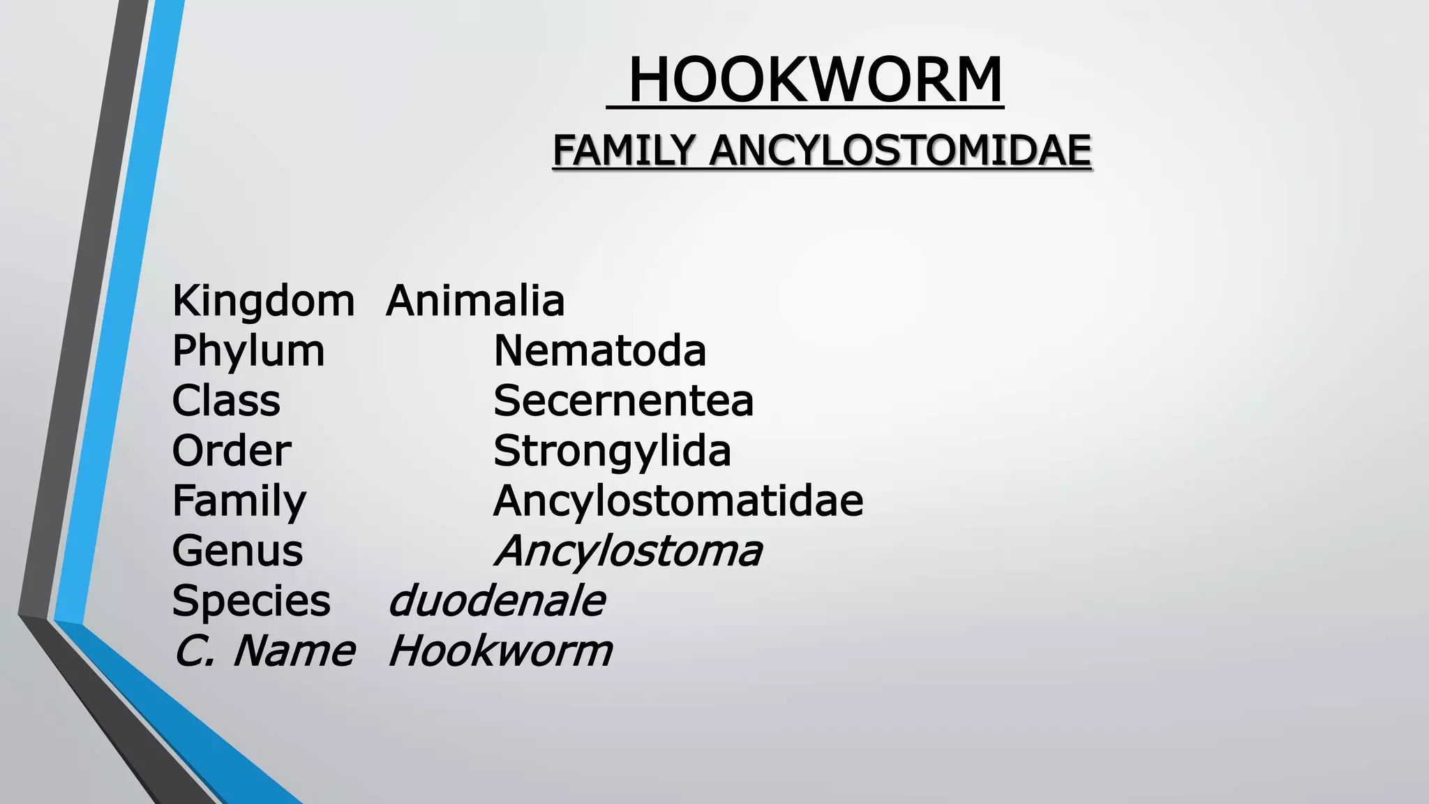 Nematoda | PPTX