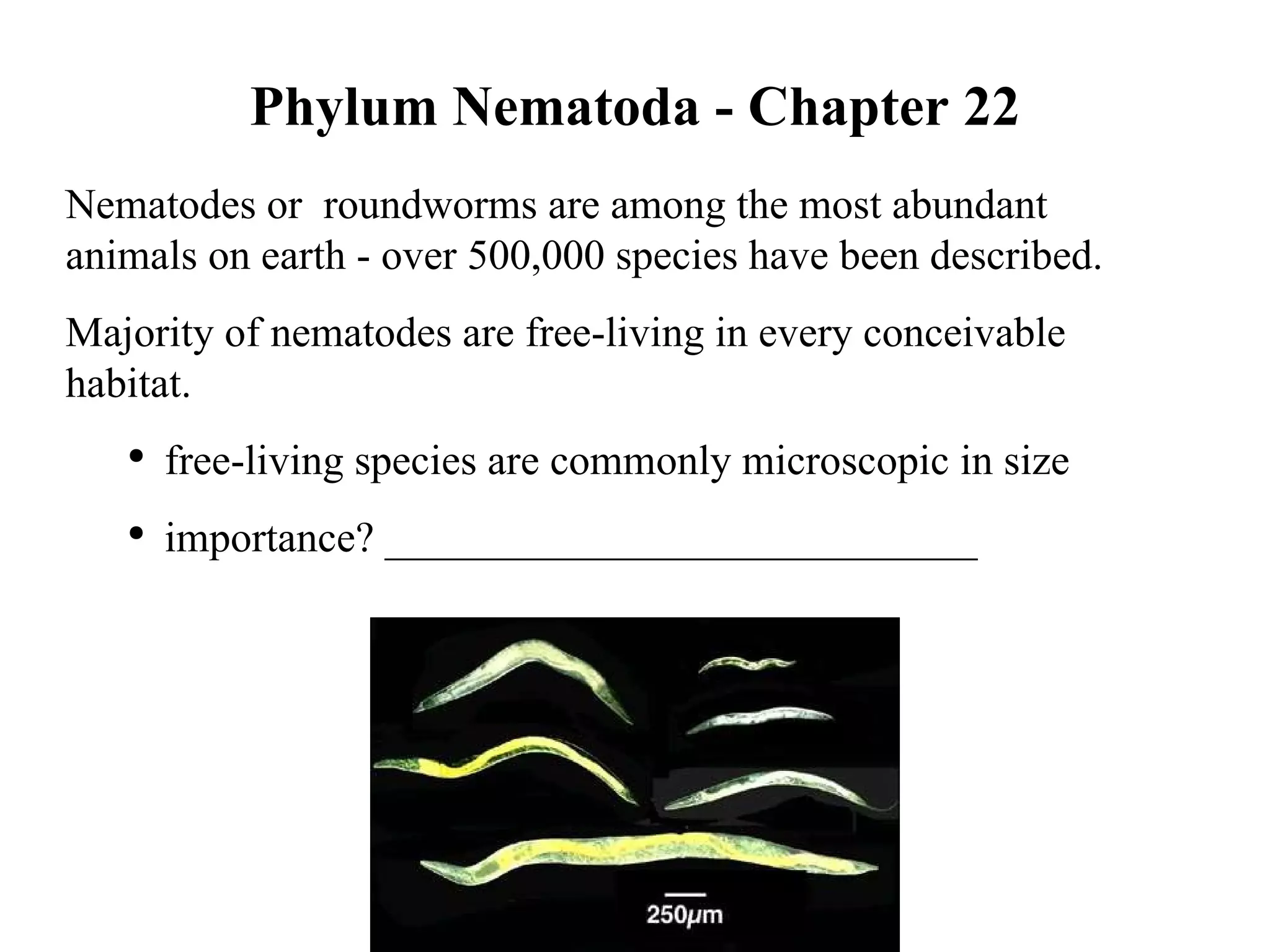 Nematoda Ascarids | PPT
