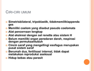 Nematoda parasit usus 2 | PPTX