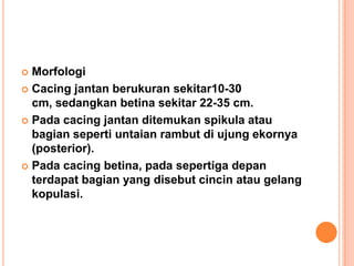 Nematoda parasit usus 2 | PPTX