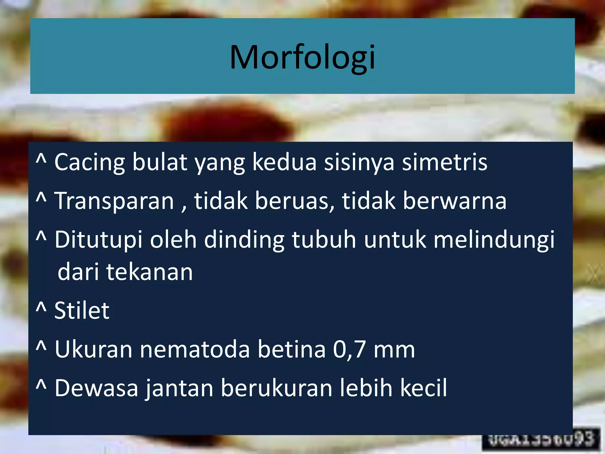 Nematoda pelubang akar (Radopholus similis) | PPSX