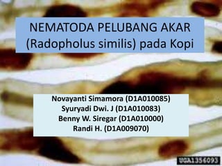 Nematoda pelubang akar (Radopholus similis) | PPSX