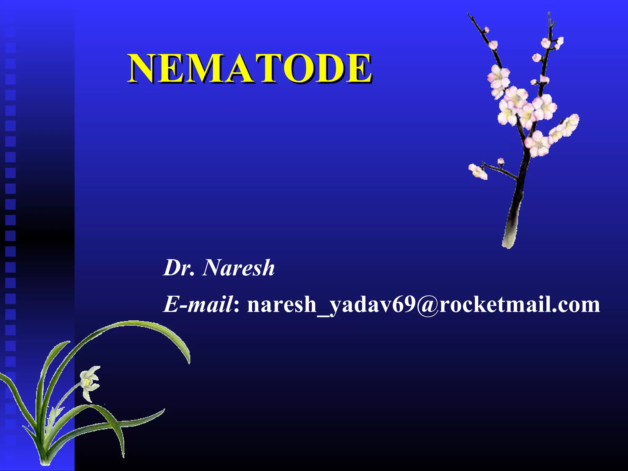 Nematode Ppt