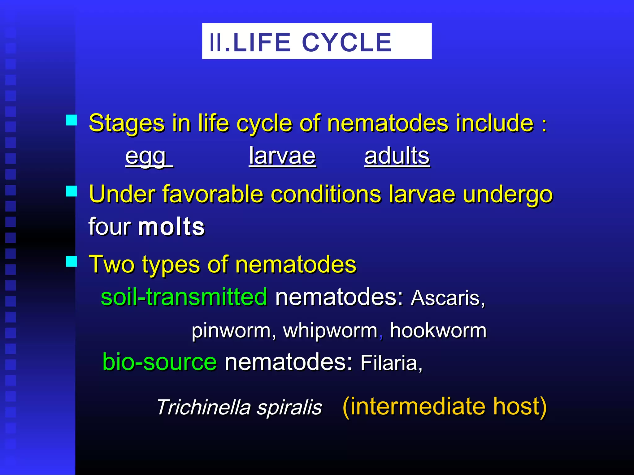 Nematode | PPT