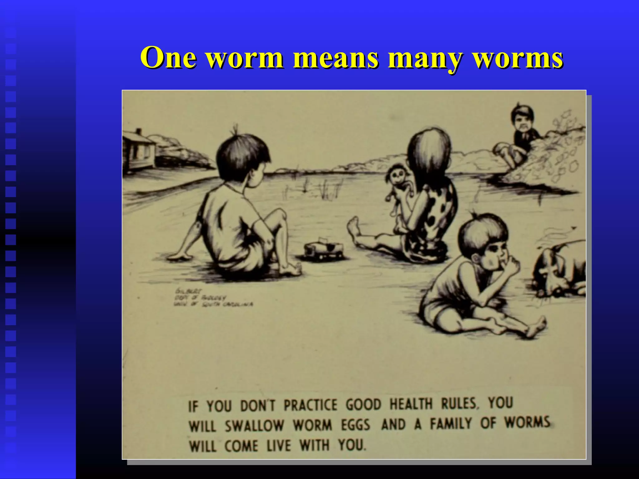 Nematode Ppt