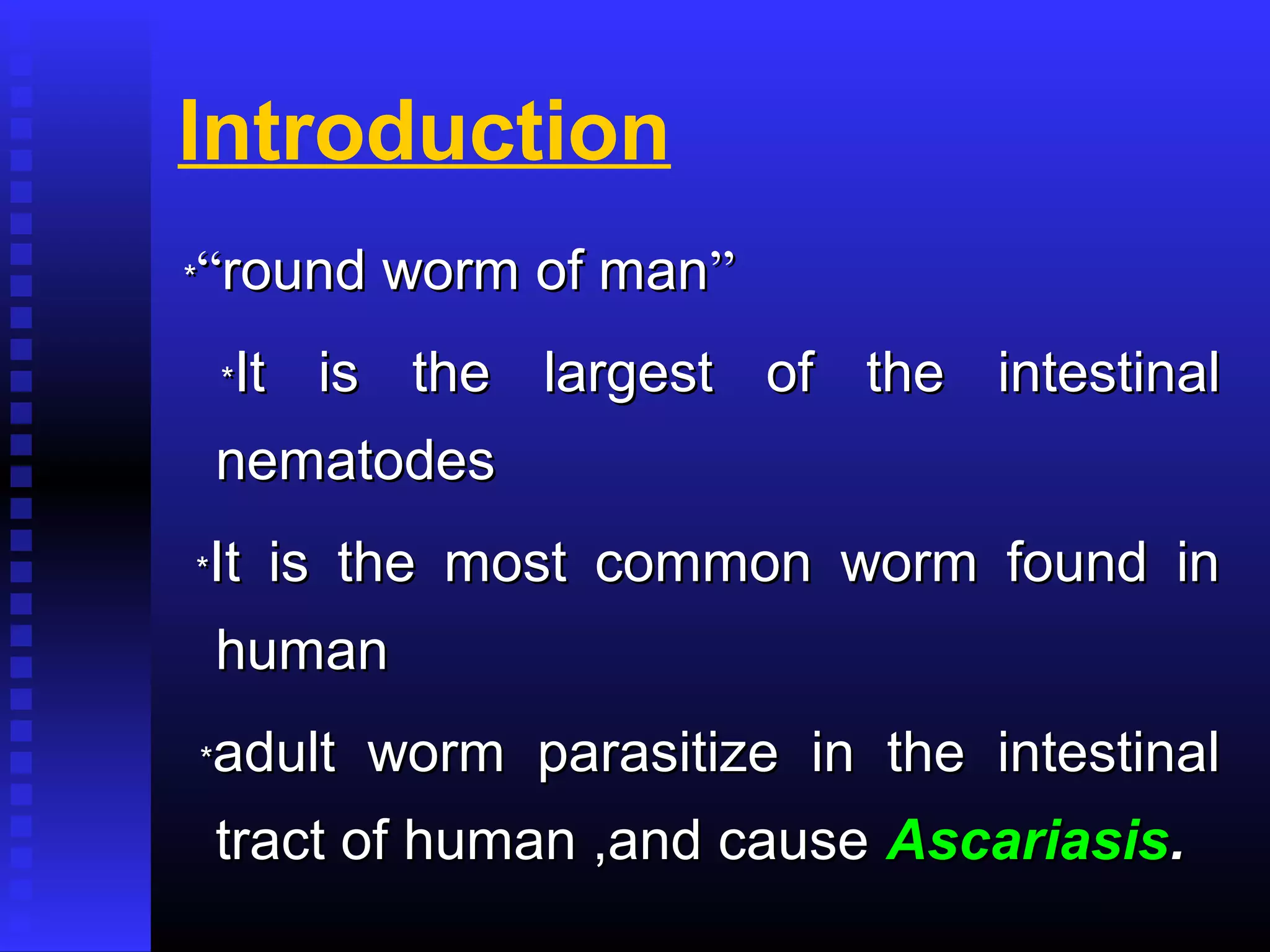 Nematode | PPT