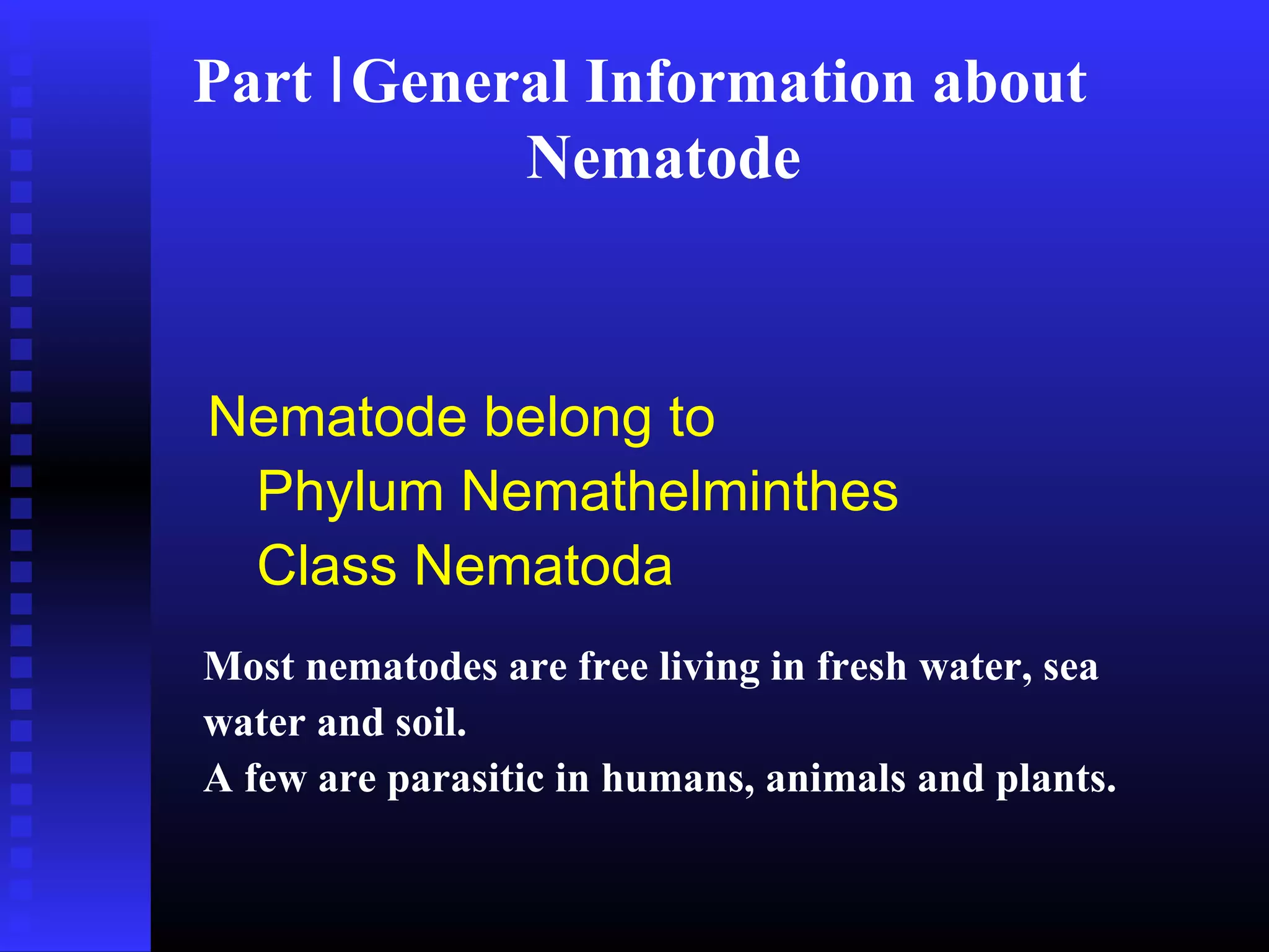 Nematode | PPT