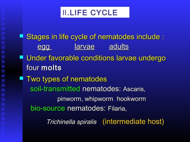 Nematode | PPT