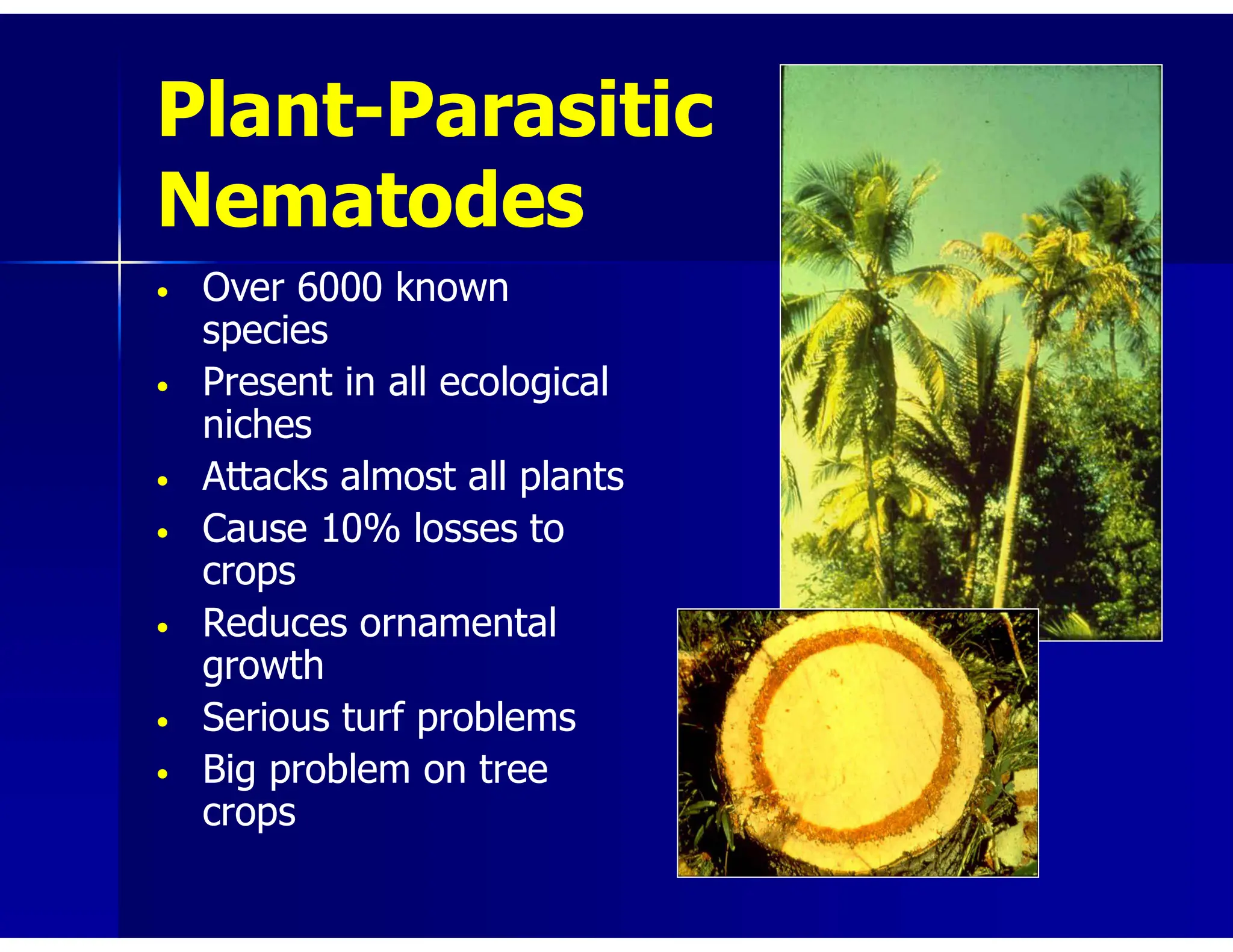 nematode.pdf
