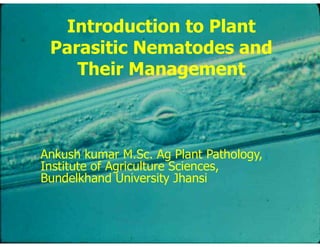 nematode.pdf