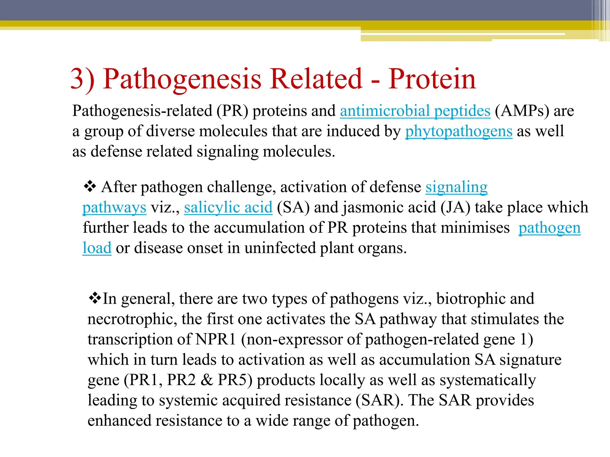 nematode.pptx