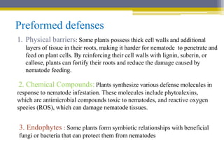 nematode.pptx