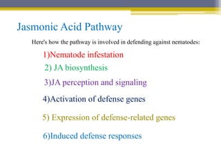 nematode.pptx