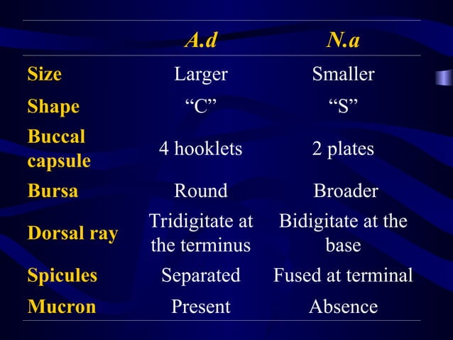 Nematodes, nematoda, round worms helminthology.ppt