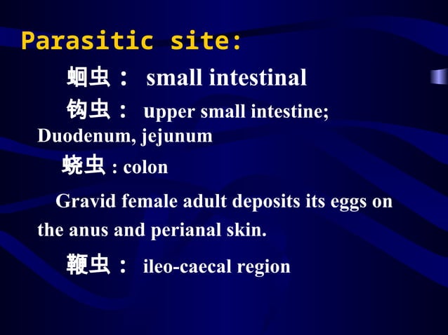 Nematodes, nematoda, round worms helminthology.ppt