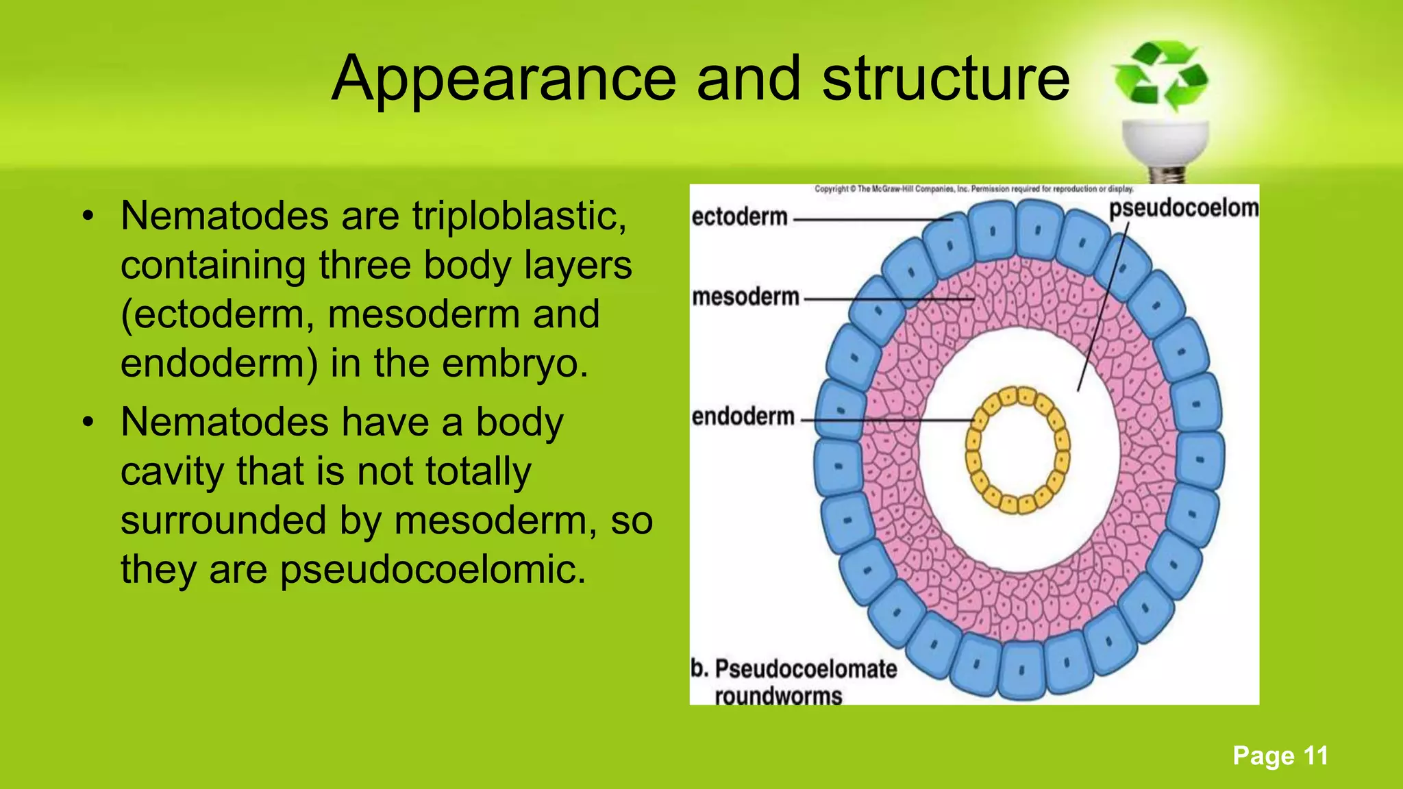 Nematode biology | PPTX
