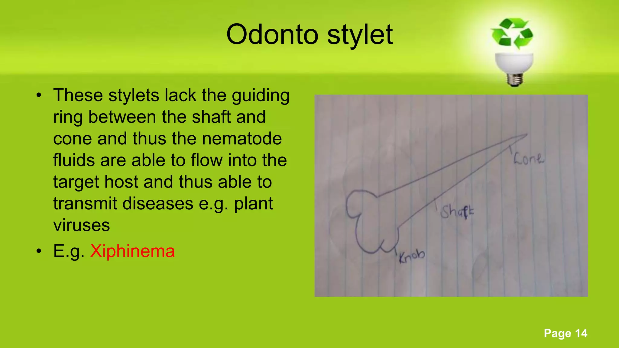 Nematode biology | PPTX