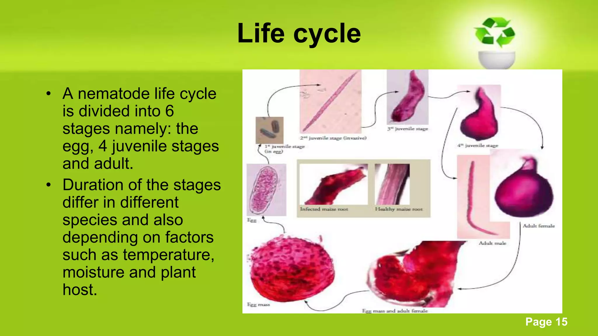 Nematode biology | PPTX