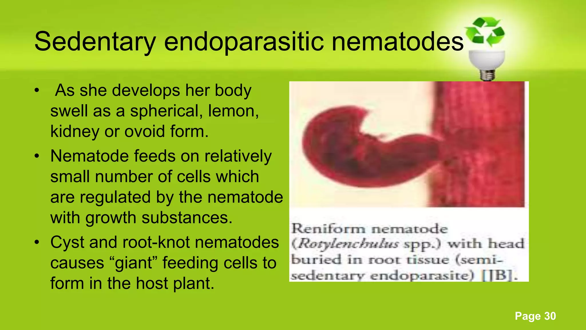 Nematode biology | PPTX