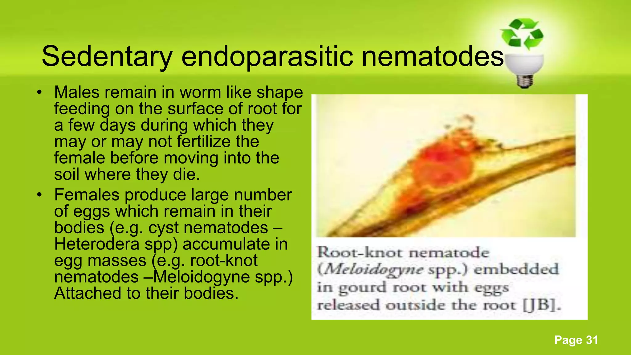 Nematode biology | PPTX