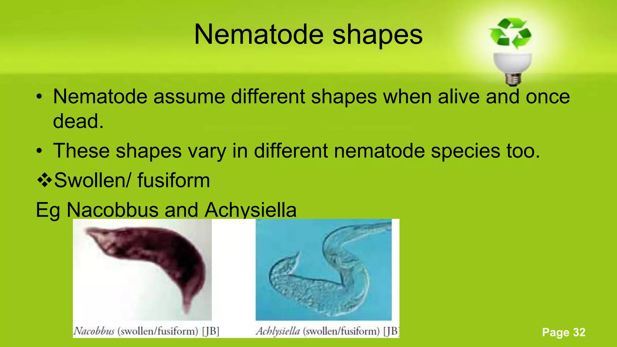 Nematode biology | PPTX