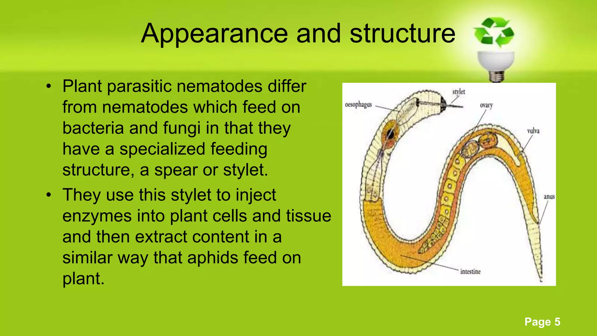 Nematode biology | PPTX