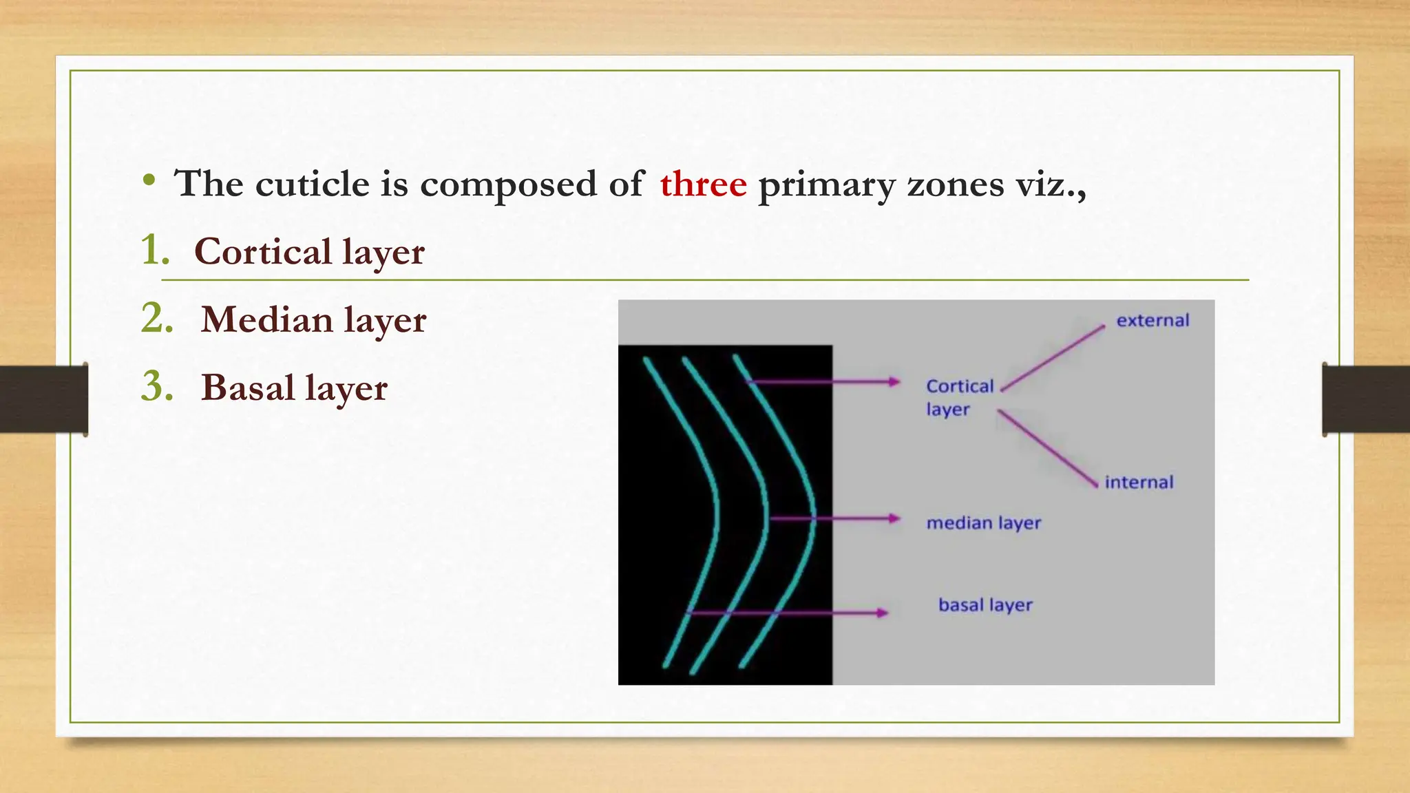 NEMATODE CUTICLE-1.pptx