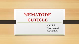 NEMATODE CUTICLE-1.pptx