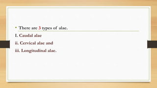 NEMATODE CUTICLE-1.pptx