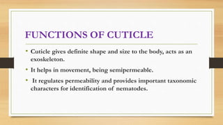 NEMATODE CUTICLE-1.pptx