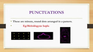 NEMATODE CUTICLE-1.pptx