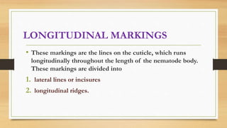NEMATODE CUTICLE-1.pptx