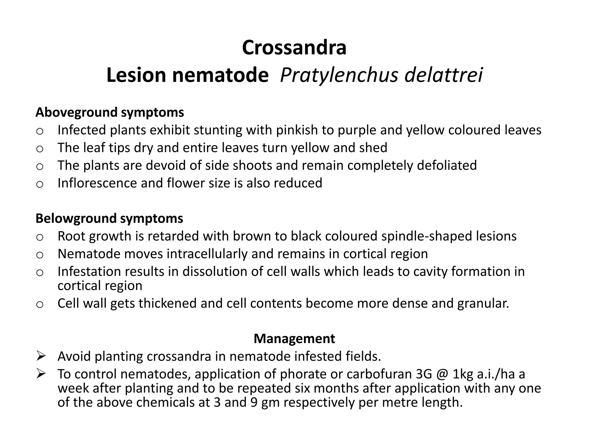 Nematode damage symptoms in crop plants | PPTX