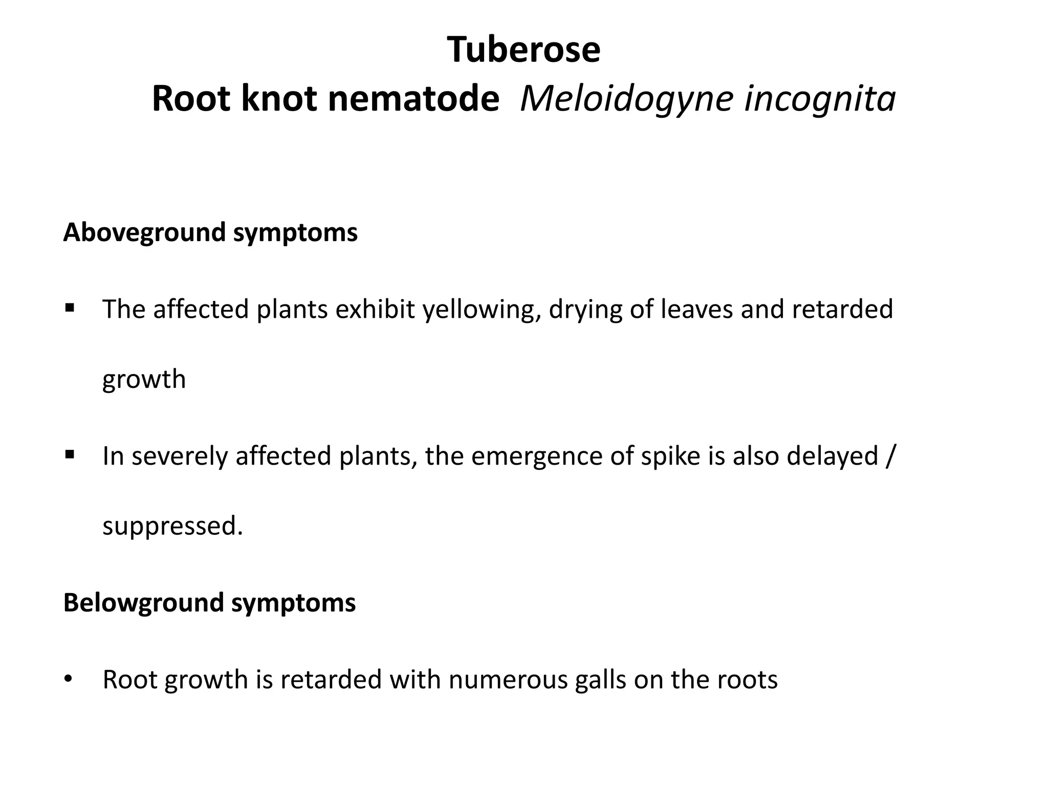 Nematode damage symptoms in crop plants | PPTX