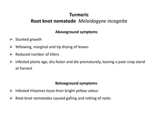 Nematode damage symptoms in crop plants | PPTX