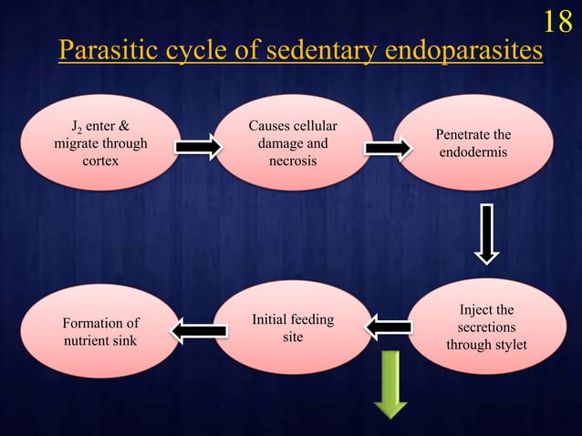 Nematode effector proteins | PPT