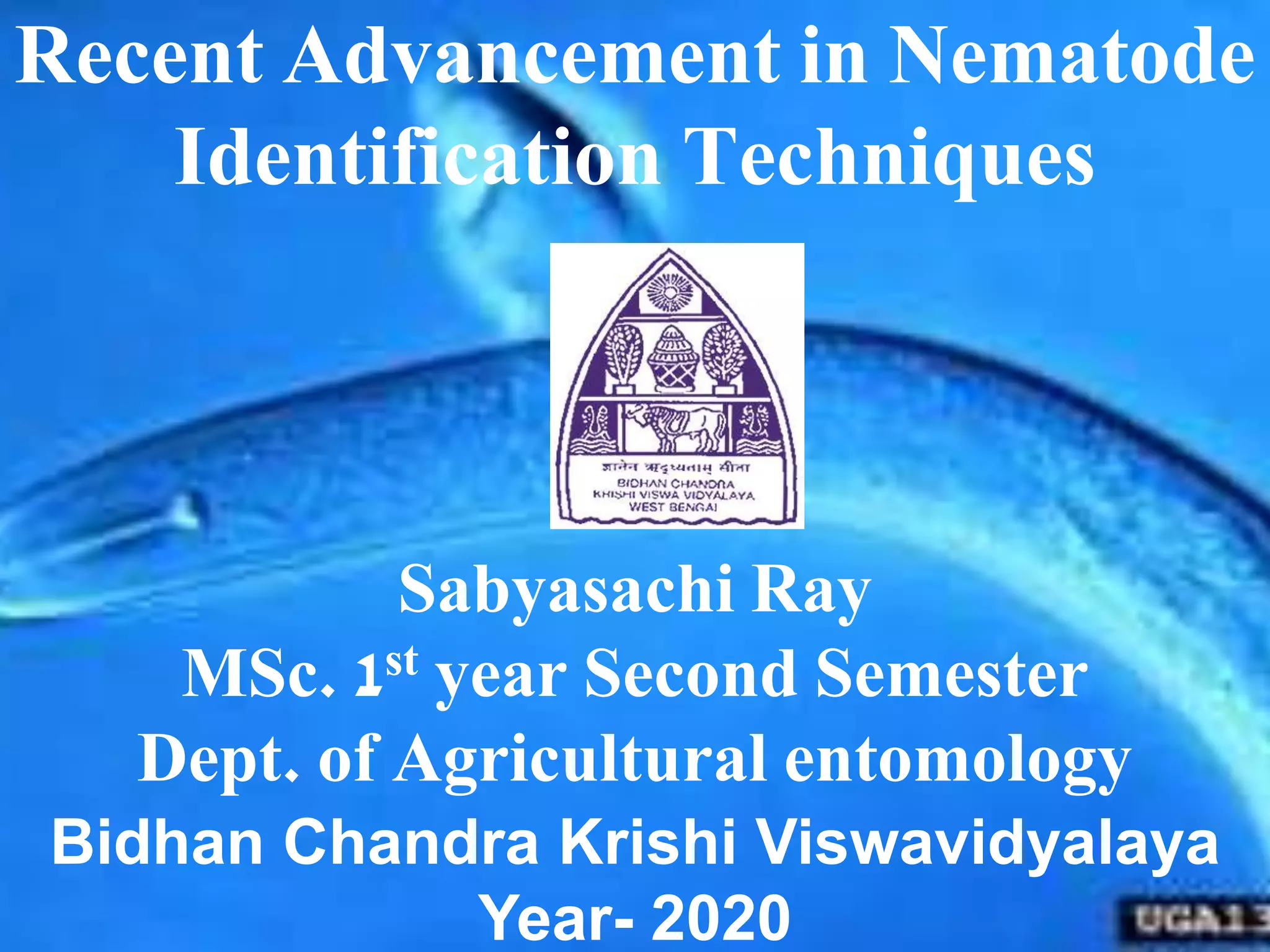 Nematode identification techniques.pptx