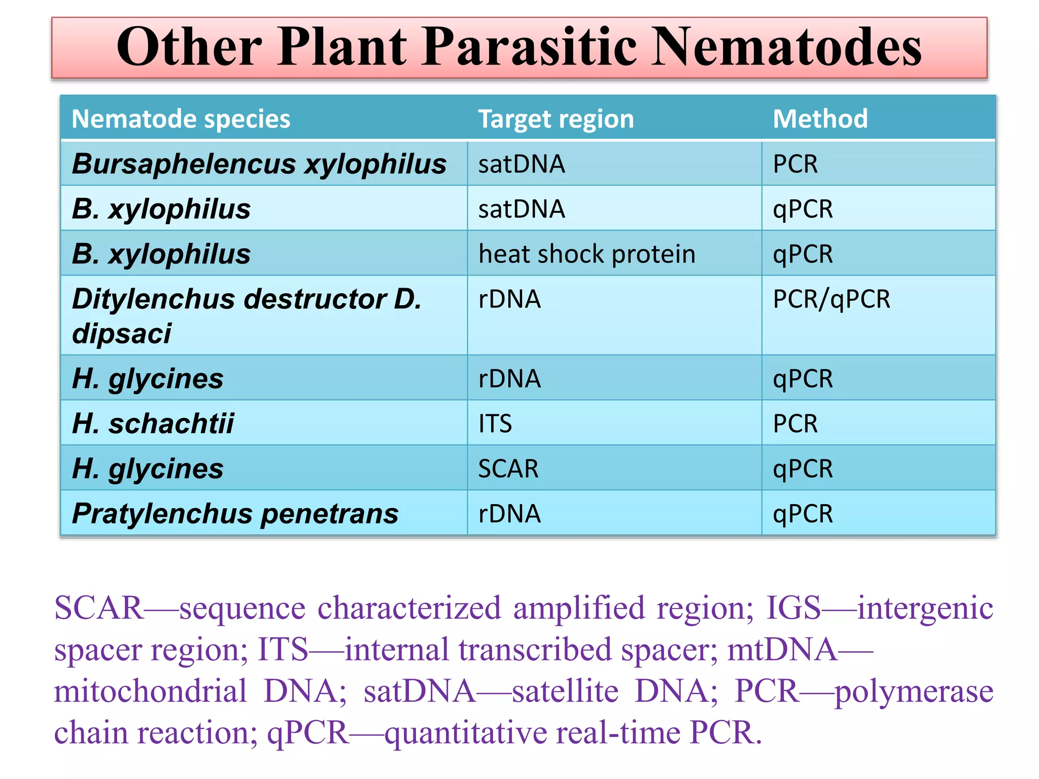 Nematode identification techniques.pptx