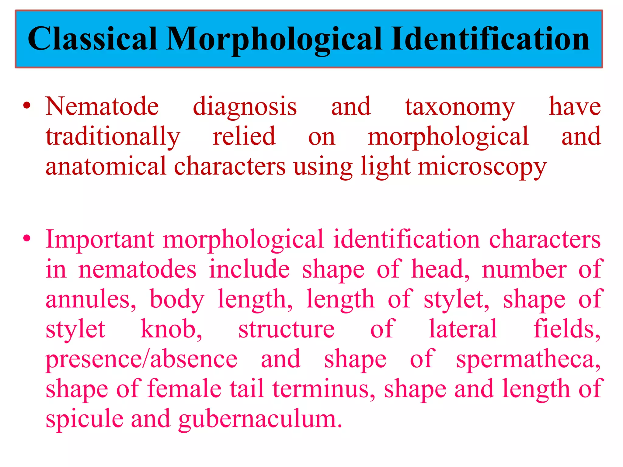 Nematode identification techniques.pptx