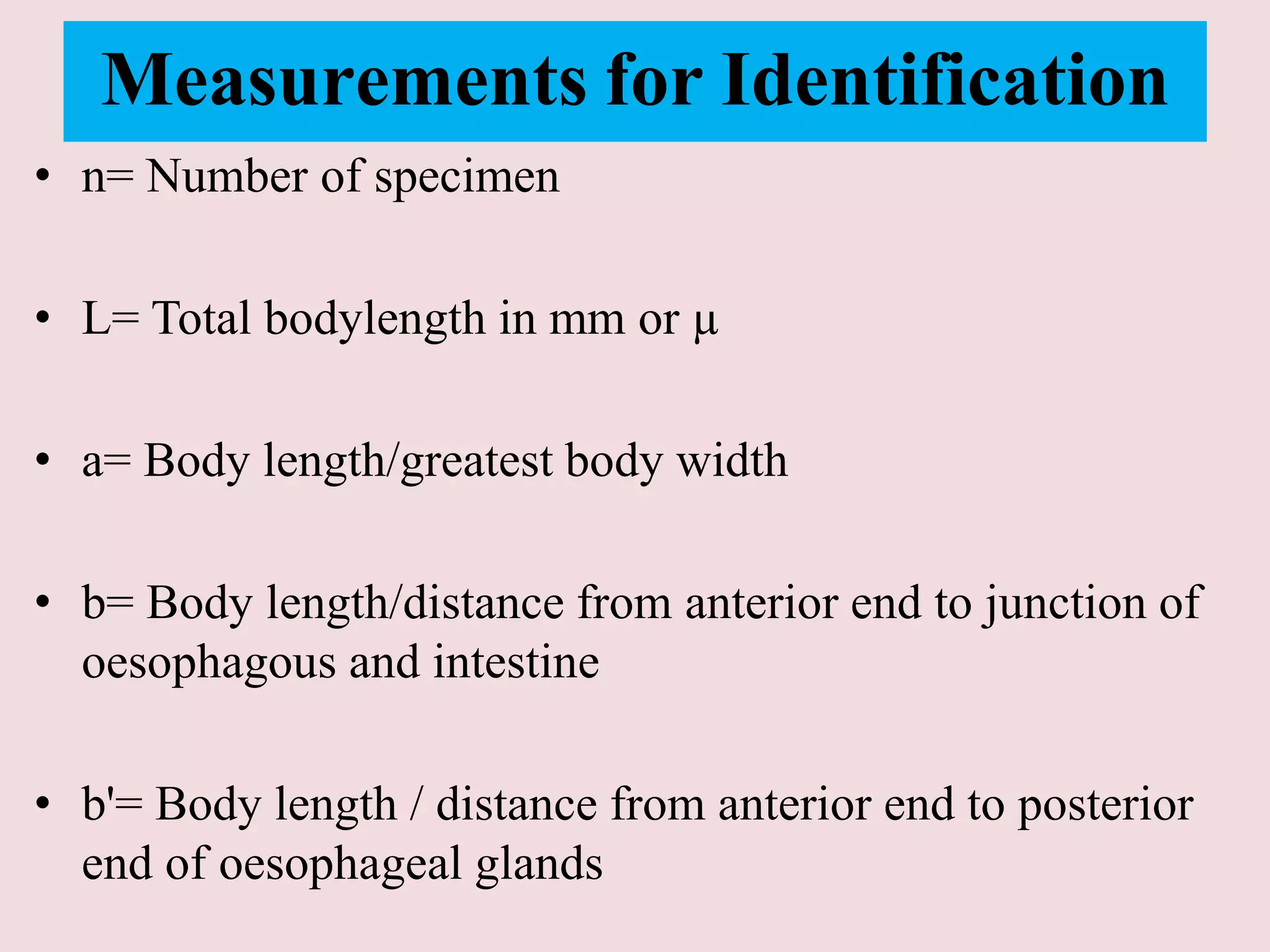 Nematode identification techniques.pptx