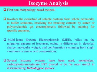 Nematode identification techniques.pptx
