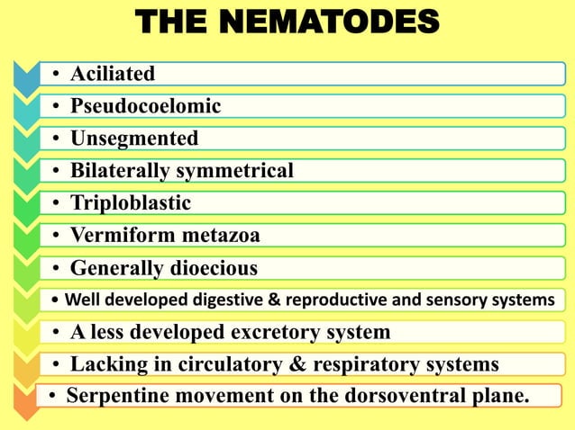 Nematode identification techniques.pptx