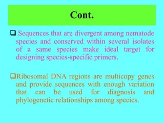 Nematode identification techniques.pptx